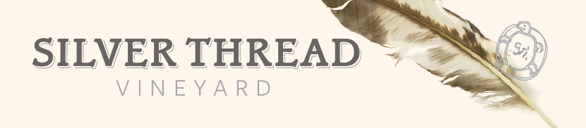 Experiences - Silver Thread Winery