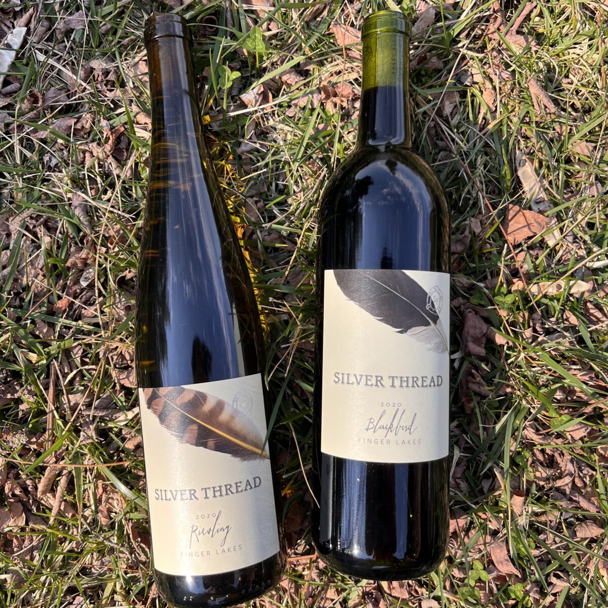 What is a Vertical Tasting? - Silver Thread Vineyard